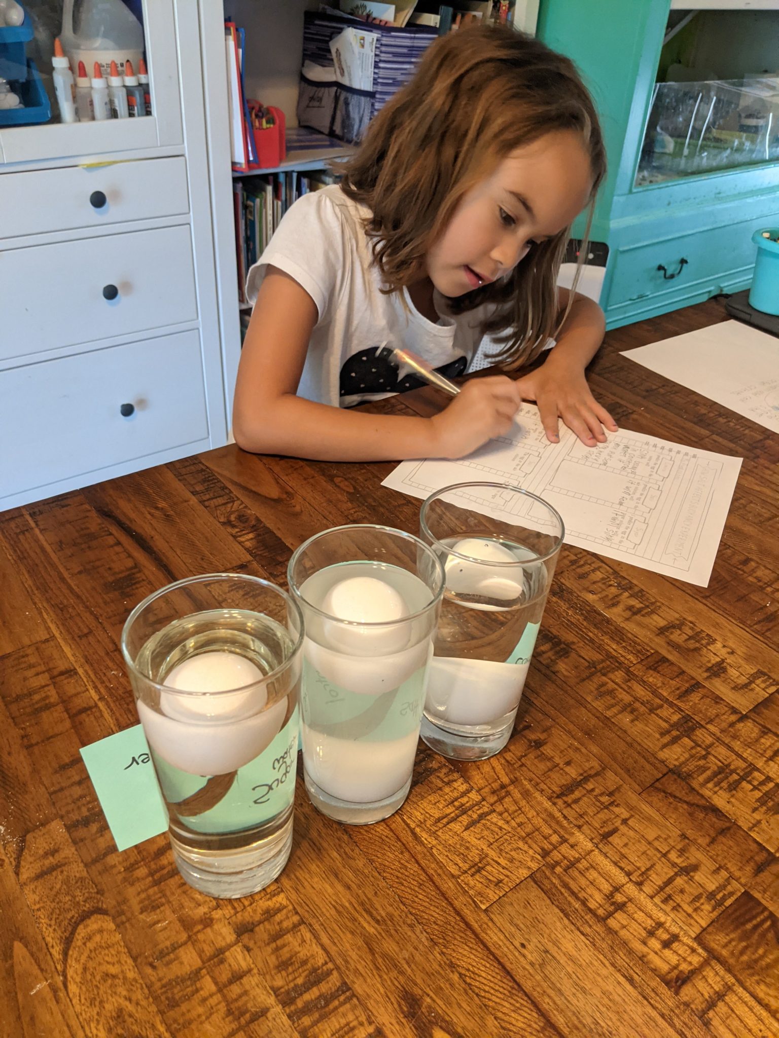 Tsunami Model - The 4 Little Foys